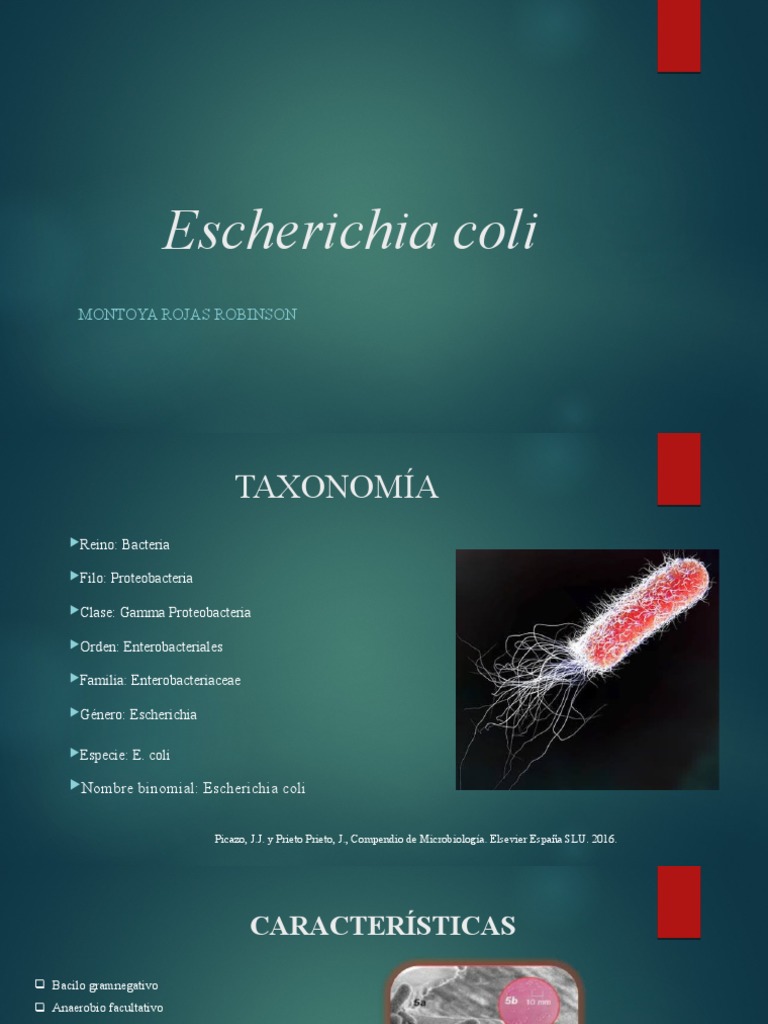 Escherichia Coli | PDF | Escherichia coli | Microbiología