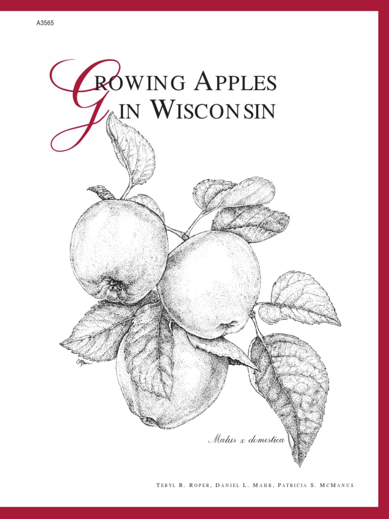 (Gardening) Growing Apples | PDF | Grafting | Apple