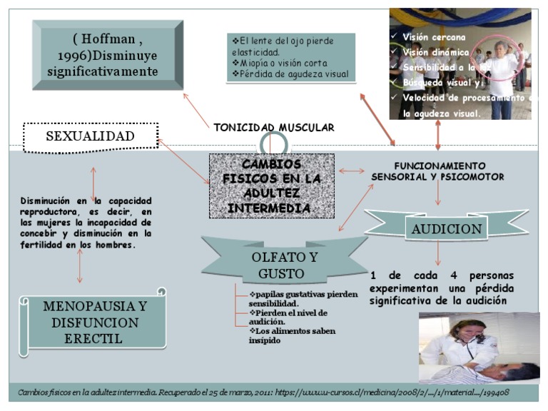 Cambios Fisicos en La Adultez Intermedia | PDF | Percepción visual | Ligero