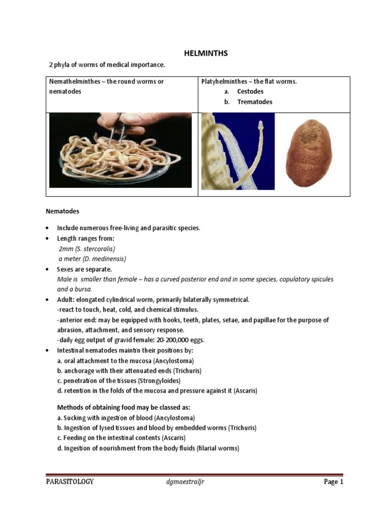 Helminths: Nematodes | PDF | Parasitology | Diseases And Disorders