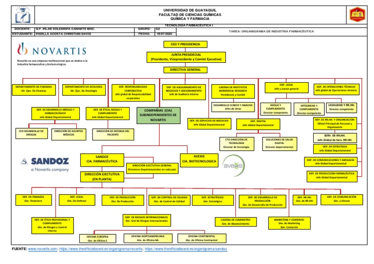 Organigrama de la industria farmacéutica Novartis | PDF | Farmacéutico ...