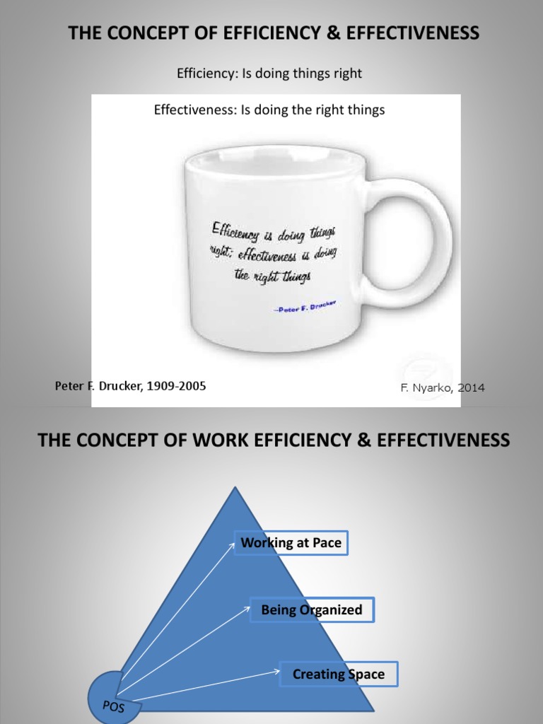 The Concept of Efficiency & Effectiveness | PDF | Efficiency | Motivation
