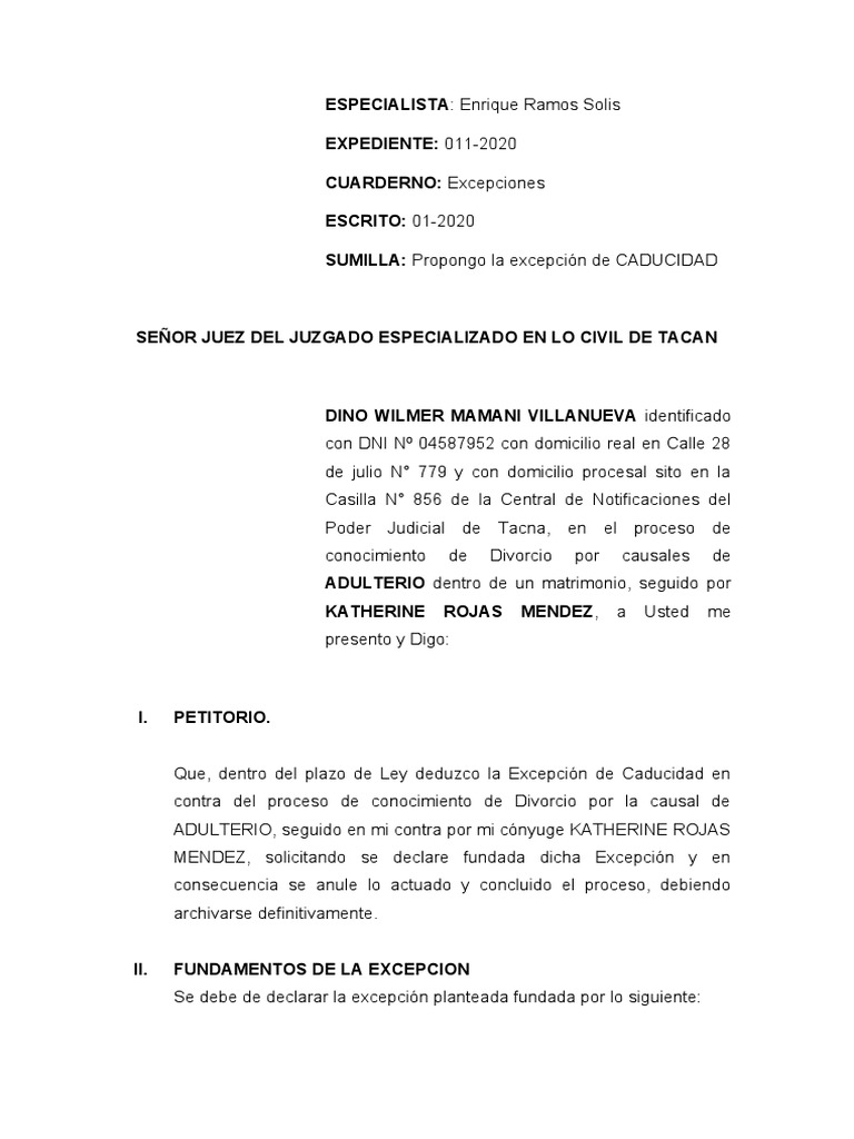 Escrito de Excepcion | PDF | Divorcio | Demanda judicial