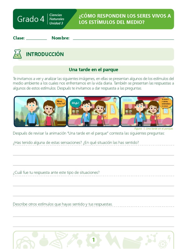 Funciones Vitales de Los Seres Vivos | PDF | Organismos | Science