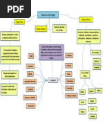 EPP Mapa Mental | PDF