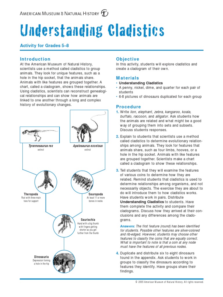 Understanding Cladistics: Activity For Grades 5-8 | PDF | Dinosaurs ...