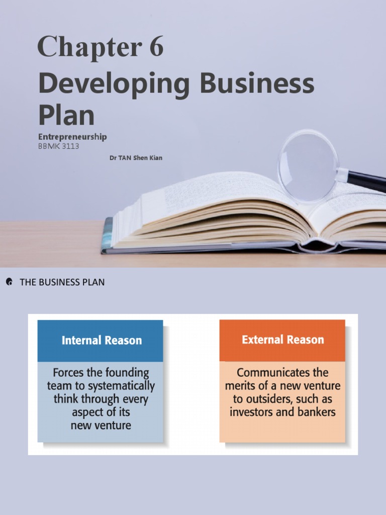 Developing Business Plan: Entrepreneurship | PDF