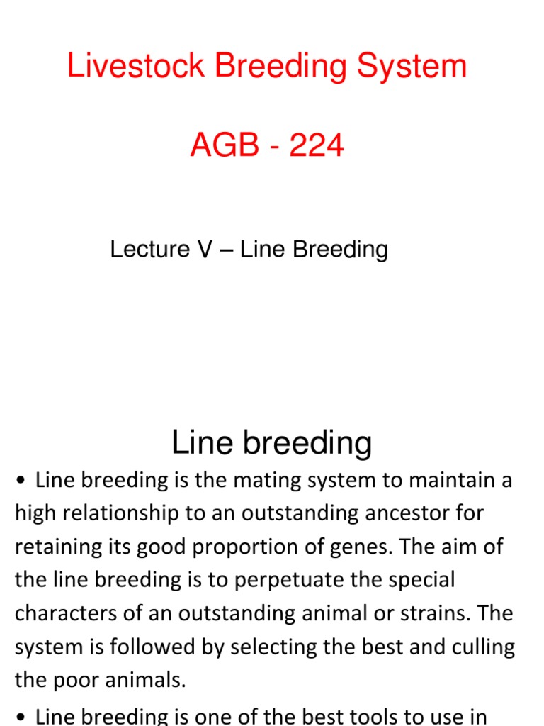 Livestock Breeding System AGB - 224 | PDF | Inbreeding | Selective Breeding