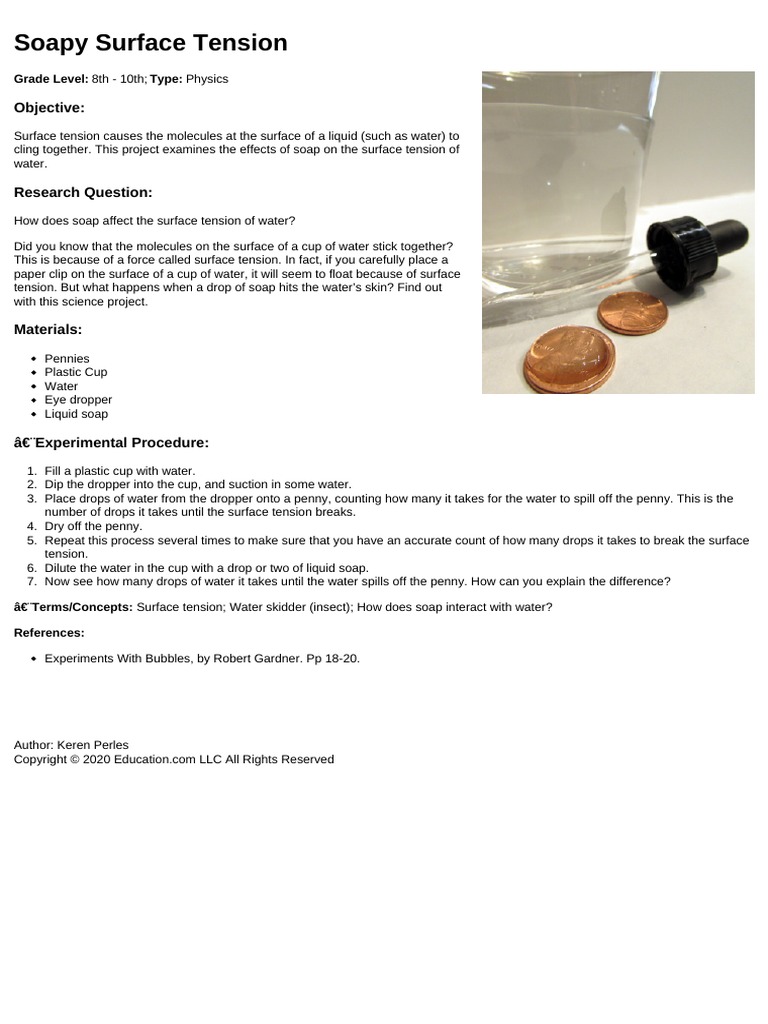 Soapy Surface Tension | PDF