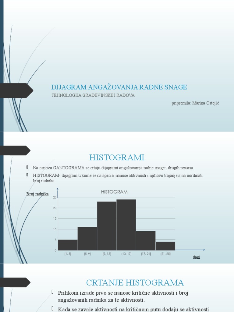 7.dijagram Angažovanja Radne Snage | PDF