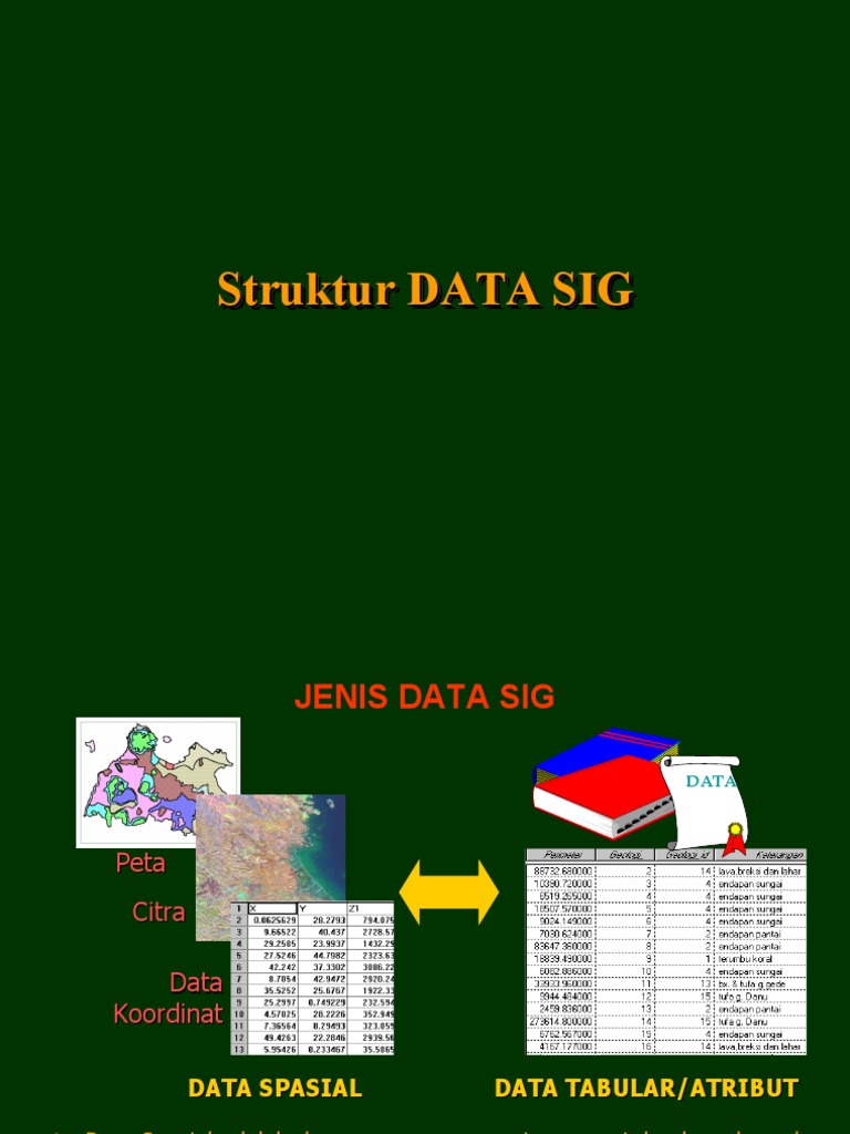 Jenis dan Struktur Data dalam SIG | PDF