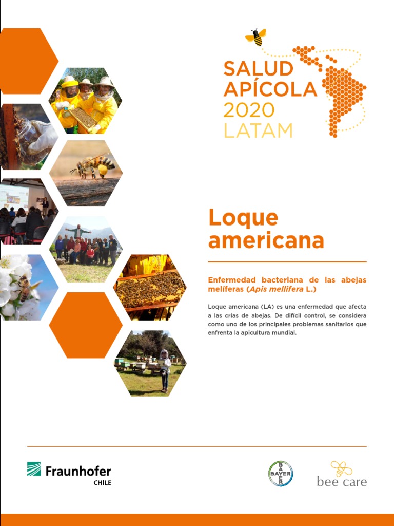 Folleto Loque Americana | PDF | Colmena | Apicultura