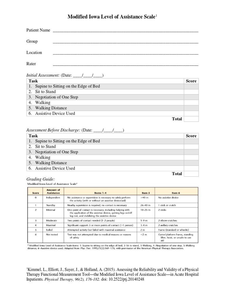 Modified ILOA Form | PDF