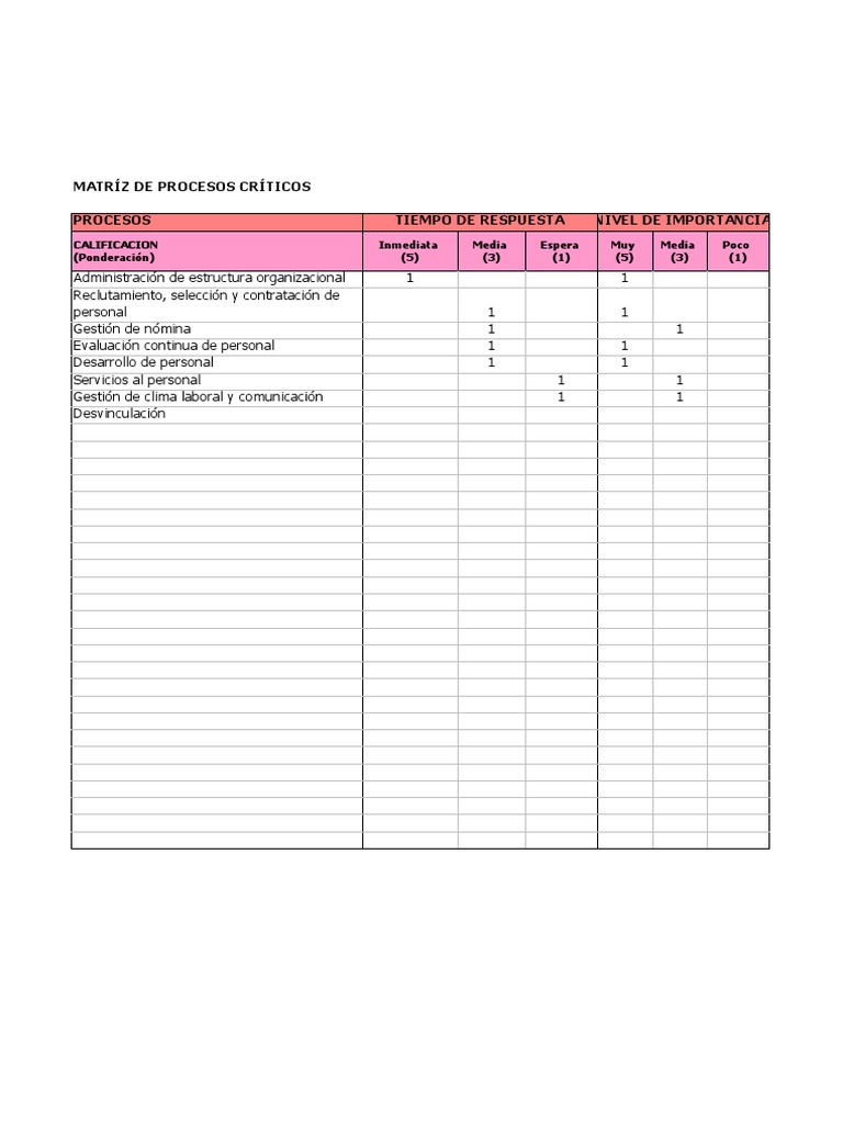 Matriz de Procesos Críticos | PDF