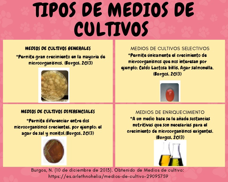tIPOS DE MEDIOS DE CULTIVO PDF | PDF