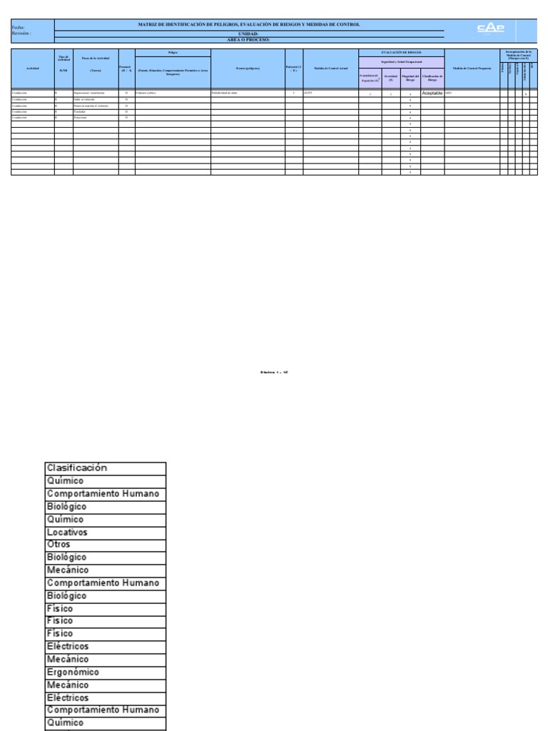 2) Formato MIPER | PDF | Factores humanos y ergonomía | Descarga electrostática
