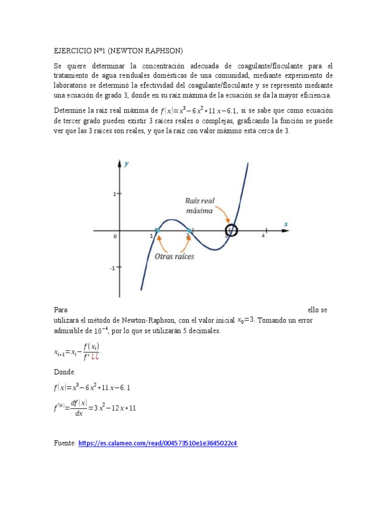 Ejercicios Newton Raphson y La Serie de Taylor | PDF