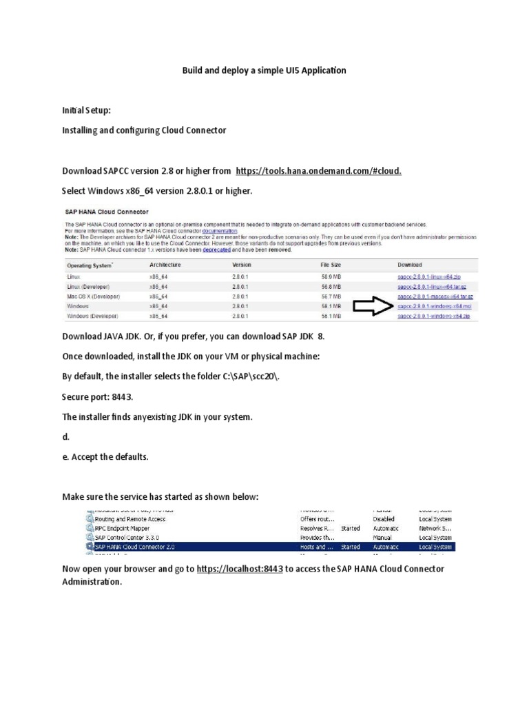 Build and Deploy Simple UI5 Application | PDF | Cloud Computing | Proxy Server