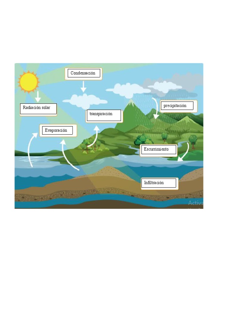 Ciclo del Agua: Procesos Clave | PDF