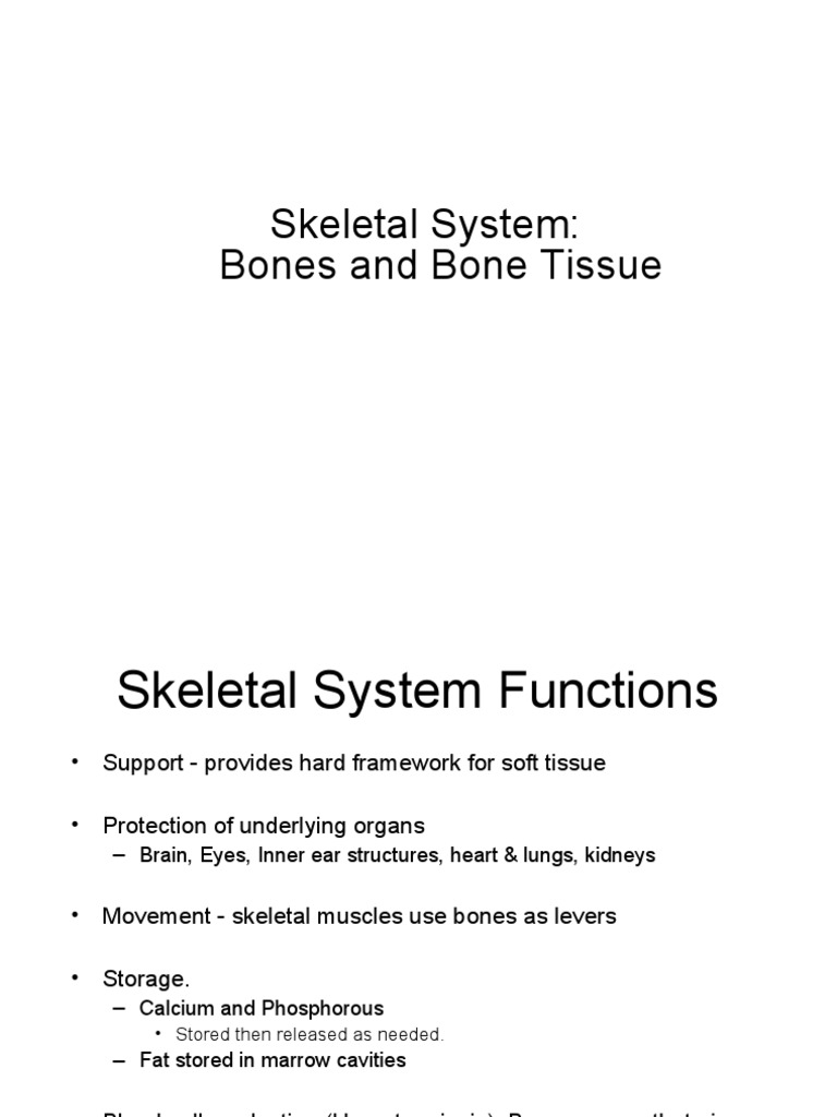 Skeletal System: Bones and Bone Tissue | PDF | Bone | Osteoblast