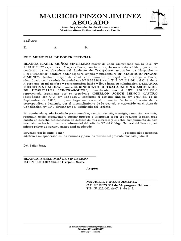 Poder Especial | PDF | Demanda judicial | Información del gobierno