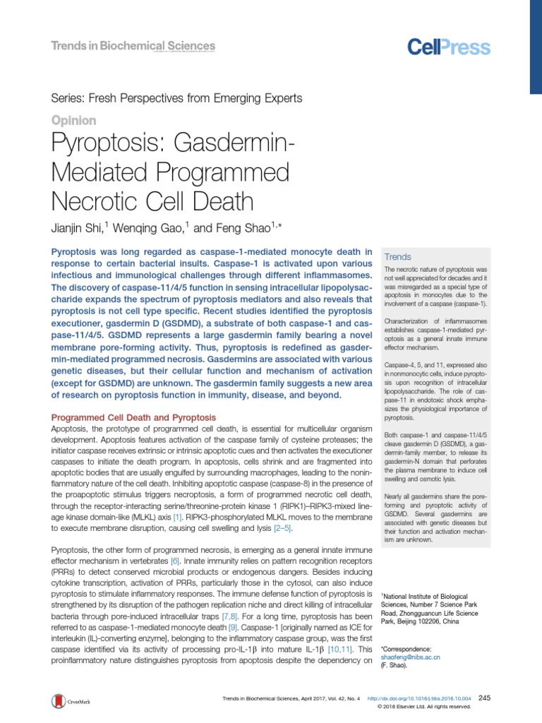 Pyroptosis: Gasdermin-Mediated Programmed Necrotic Cell Death | PDF ...