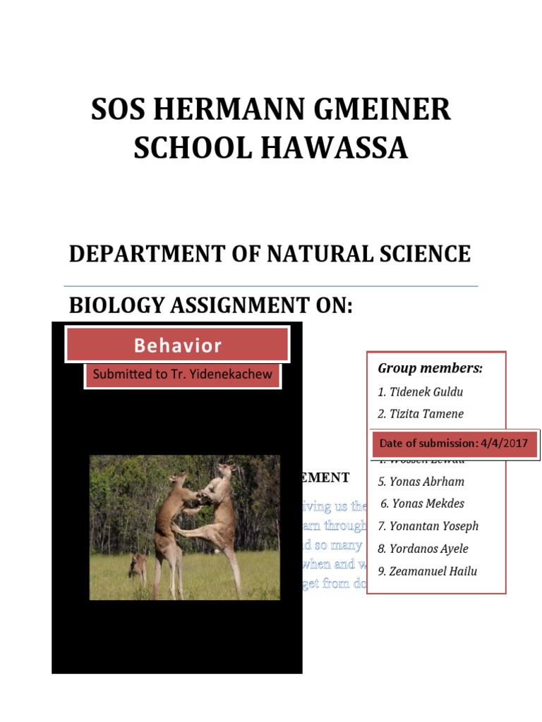 Sos Hermann Gmeiner School Hawassa: Department of Natural Science | PDF ...