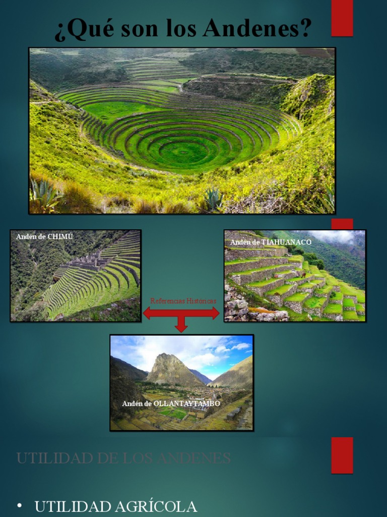 Importancia y Tipos de Andenes Agrícolas | PDF | Agricultura | Ciencias ...