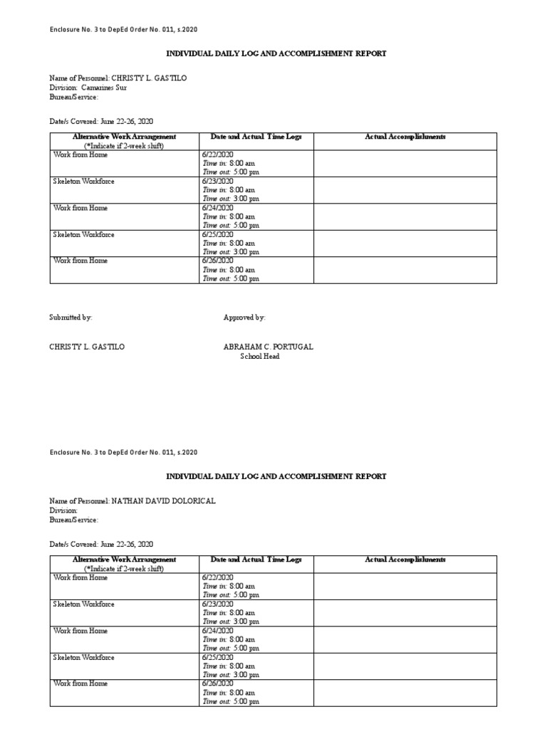 Individual Daily Log and Accomplishment Report | PDF