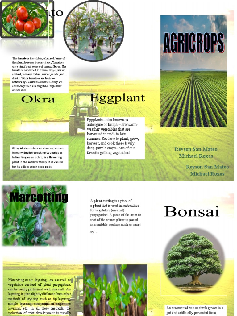 AGRICROPS | PDF | Tomato | Eggplant