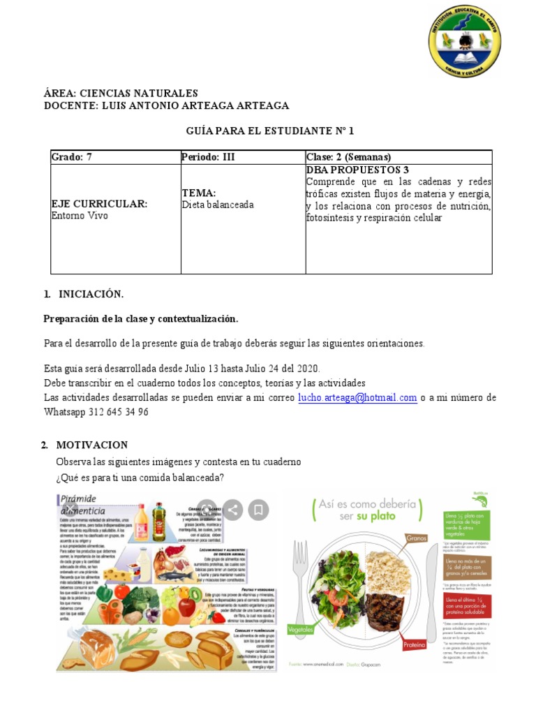 Guia Ciencias Naturales Grado 7 Periodo 3 | PDF | Dieta | Alimentos