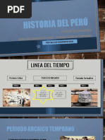 Estructura de la Organización Social en Perú | PDF | Comunidad | Gobierno
