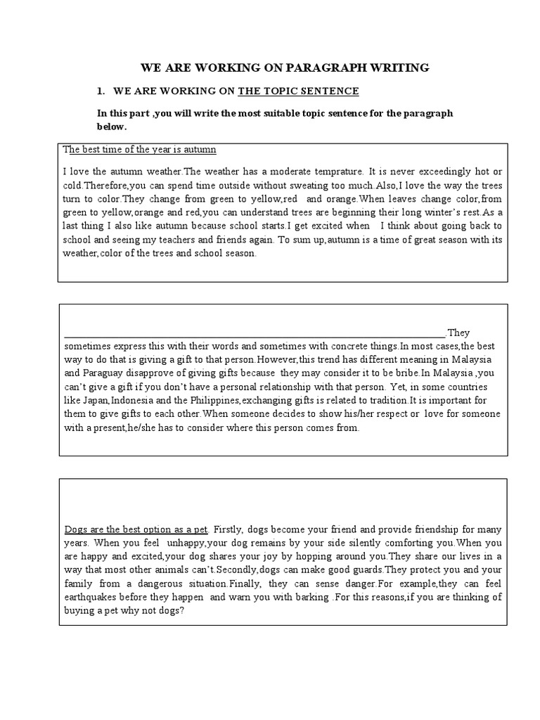 Constructing A Paragraph Worksheet | PDF | Verb | Psychology