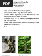 Winclada Manual | PDF | Computing | Computing And Information Technology