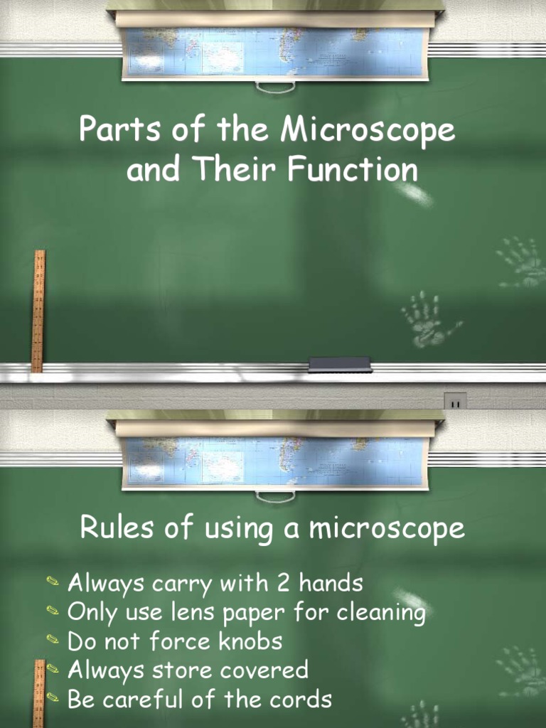 Microscope Presentation | PDF