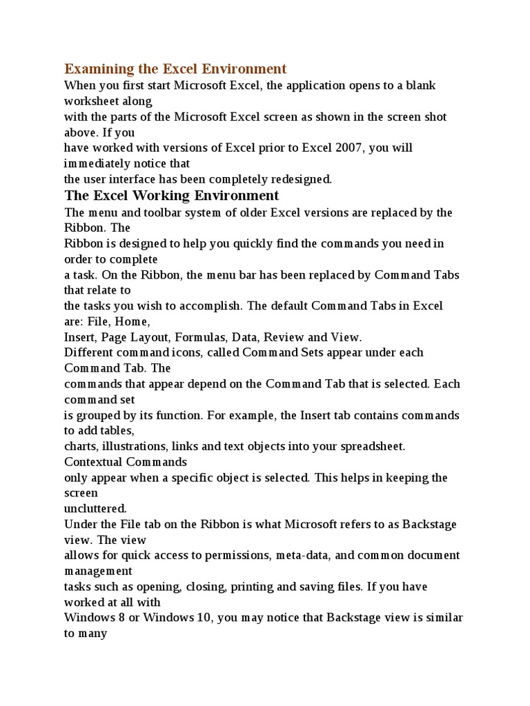 The Excel Working Environment | PDF