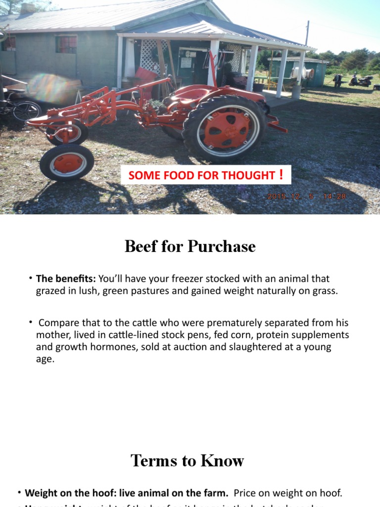 Beef For Purchase | PDF | Beef | Steak