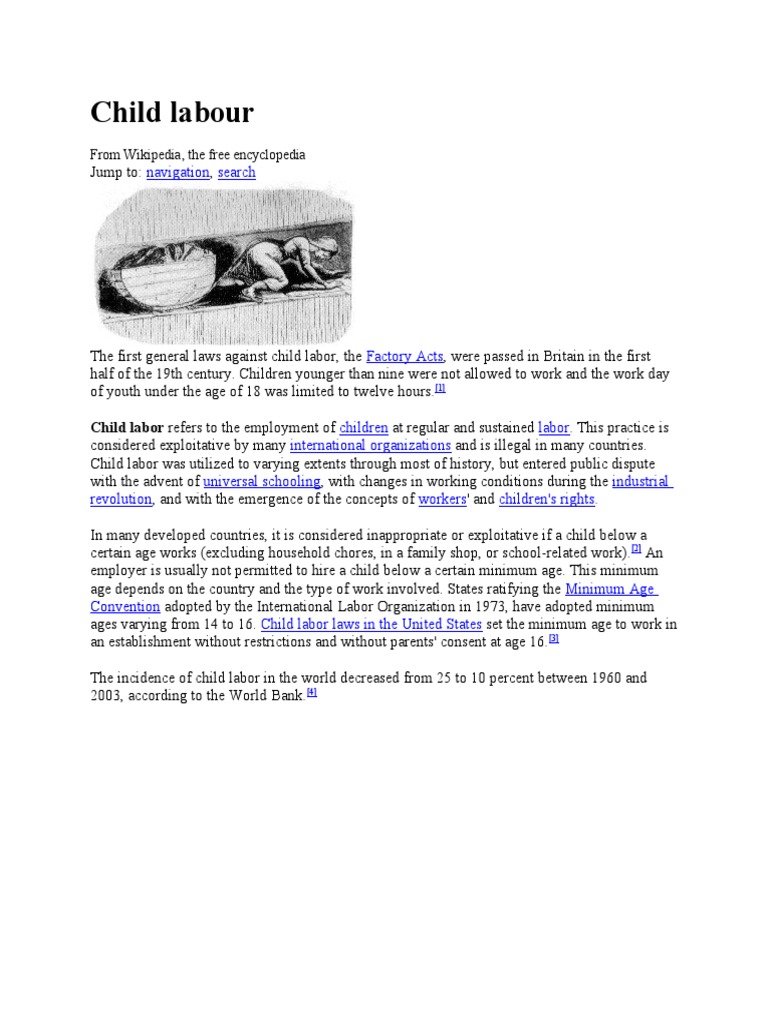 Overview of Child Labor Laws | PDF | Social Science