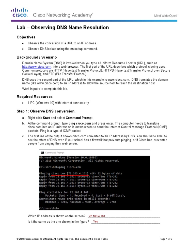 5.3.1.3 Lab - Observing DNS Name Resolution | PDF | Domain Name System | Hypertext Transfer Protocol