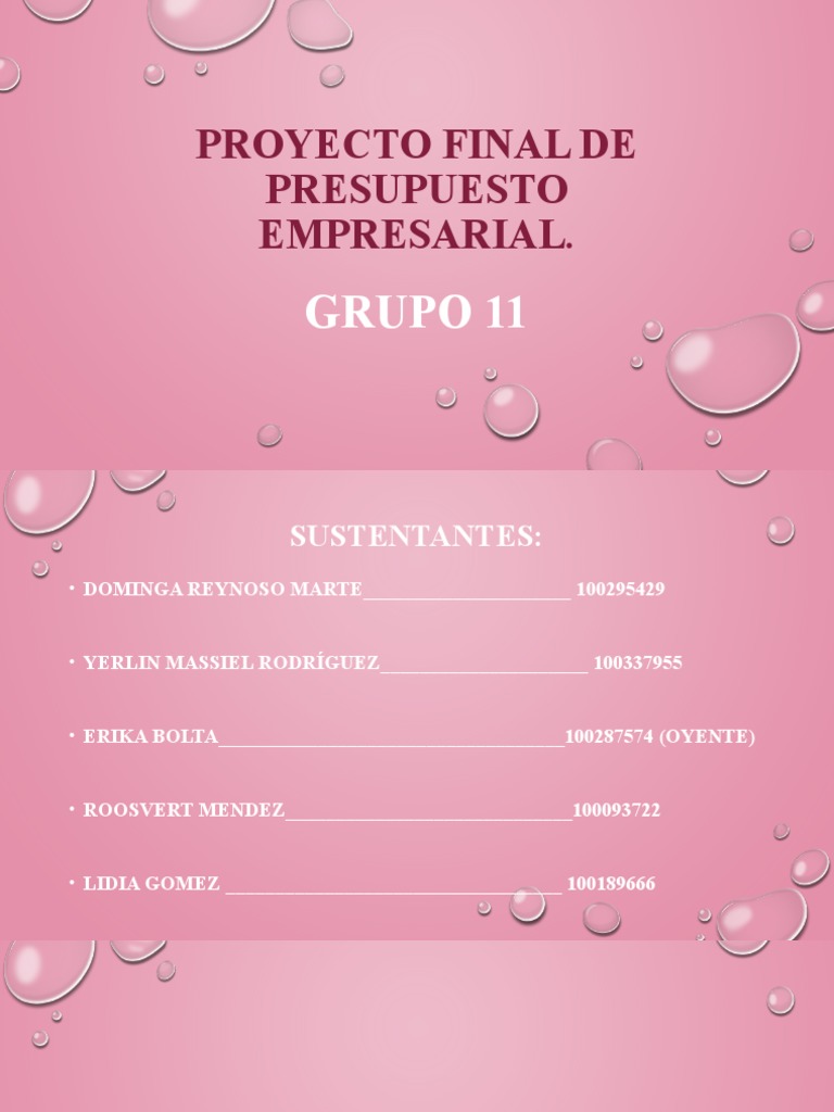 Proyecto Final de Presupuesto Empresarial - G11 | PDF | Presupuesto | Microeconomía