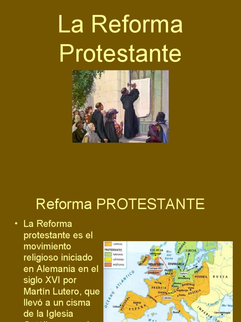 Calvinistas | PDF | Martin Luther | Gracia en el cristianismo