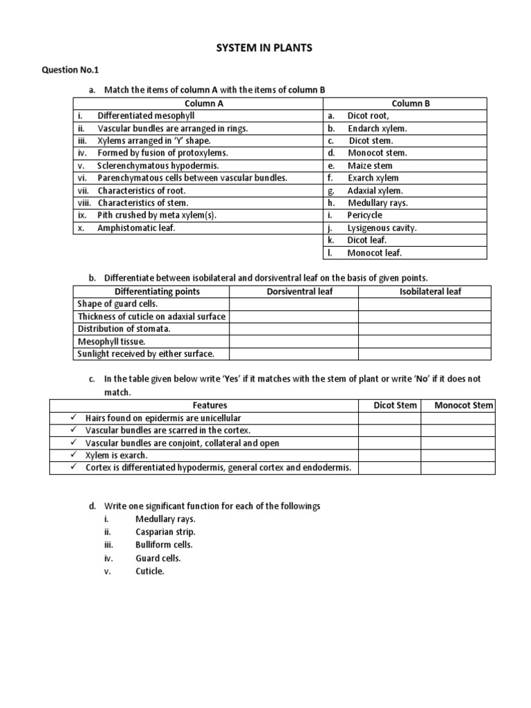 System in Plants PDF | PDF | Plant Stem | Leaf