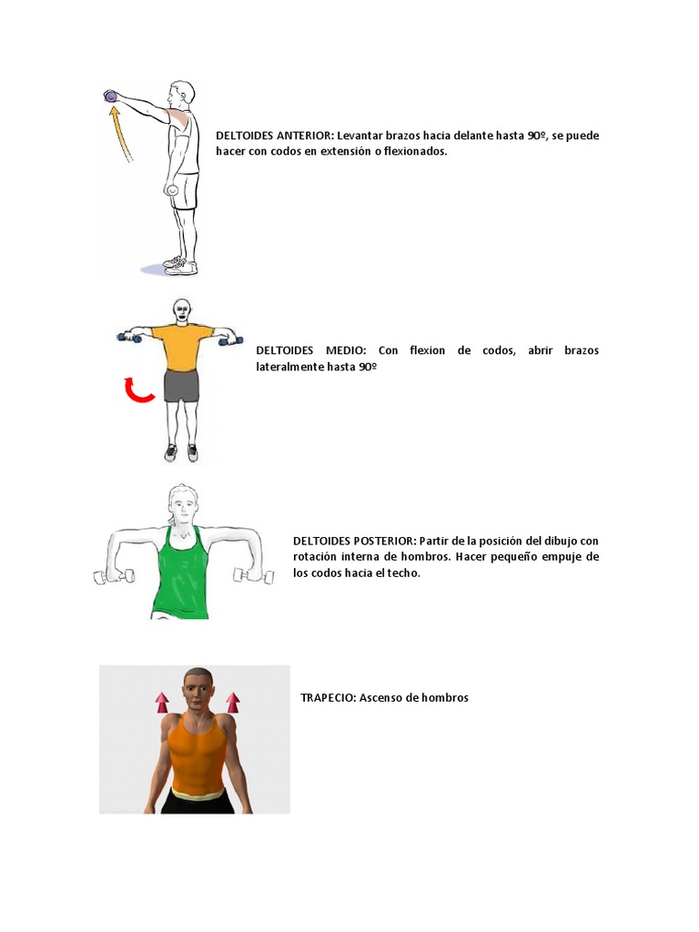 Ejercicios Hombro | PDF
