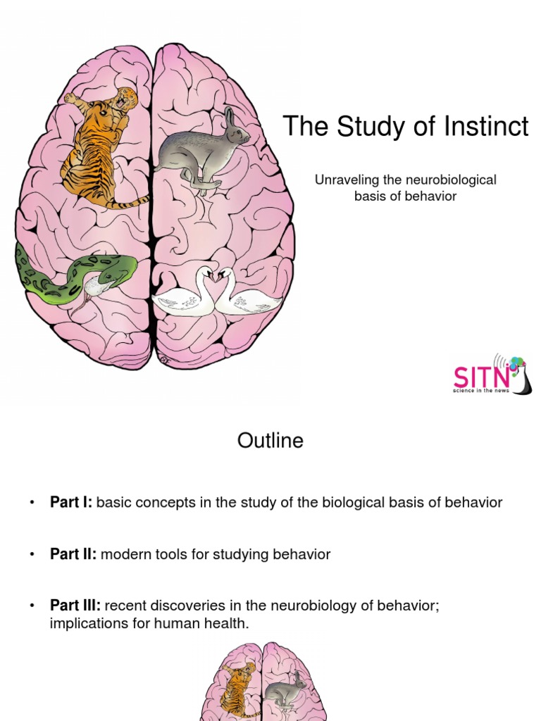 The Study of Instinct | PDF | Brain | Behavior