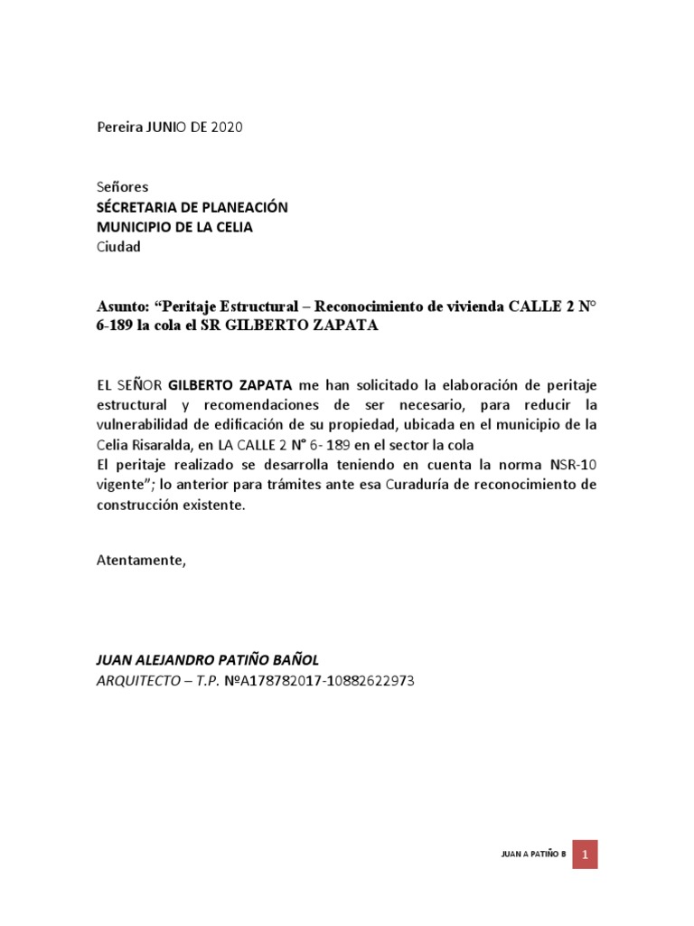 Peritaje Estructural San Nicolas Arq Alejandro | PDF | Hormigón ...