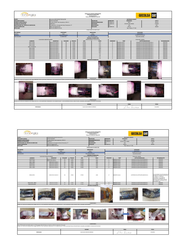 Reporte de Inspección PT | PDF | Procesos industriales | Sustancias ...