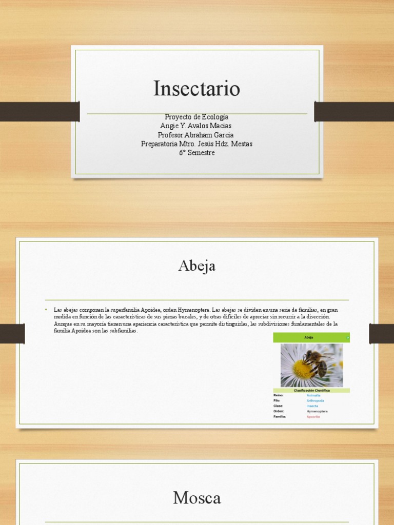 Insectario | PDF | Lepidópteros | Hormiga