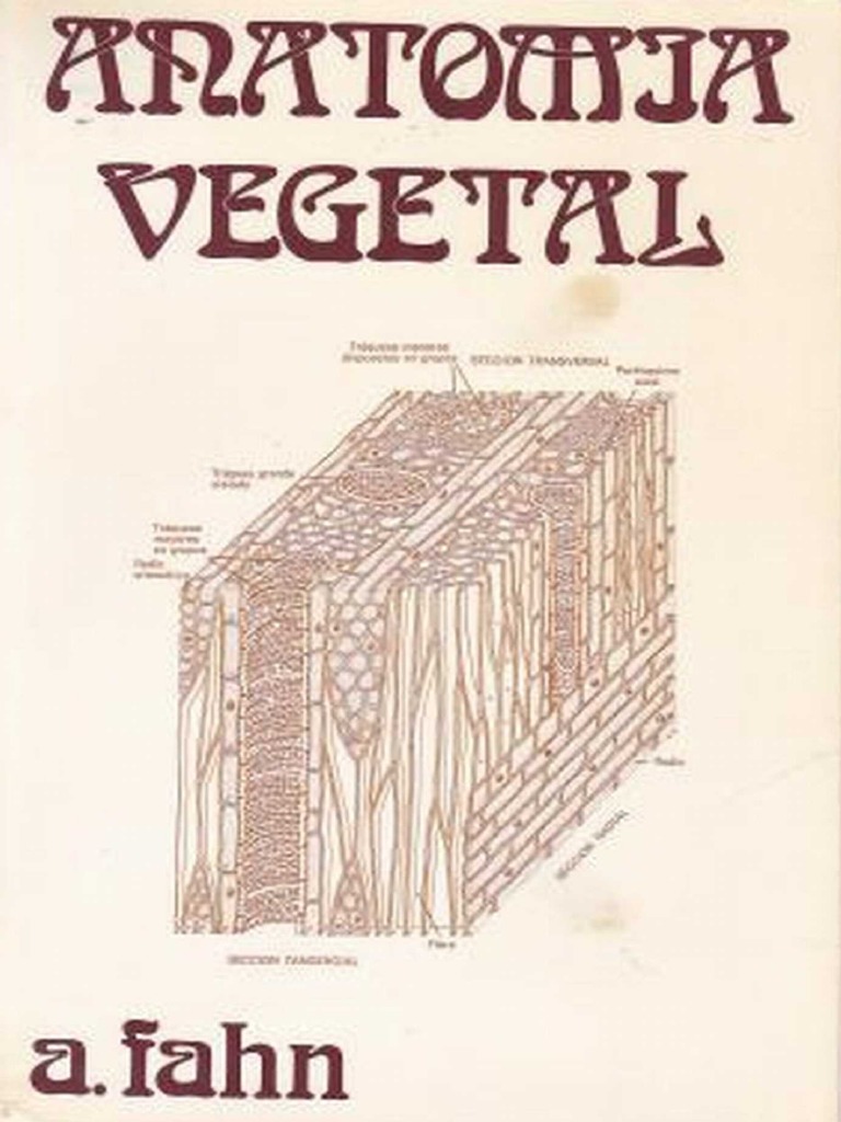 Anatomía Vegetal Fahn | PDF
