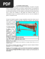 Instrumentos en La Época Colonial | PDF | Ciencias sociales | Arte