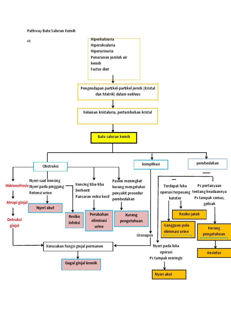 Pathway Batu Saluran Kemih dan Komplikasi | PDF
